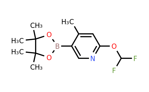 1772607-42-7 | 2-(Difluoromethoxy)-4-methyl-5-(4,4,5,5-tetramethyl-1,3,2-dioxaborolan-2-yl ...